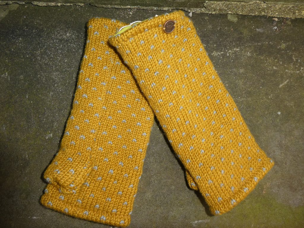 Mustard Tick - The Dragons Garden